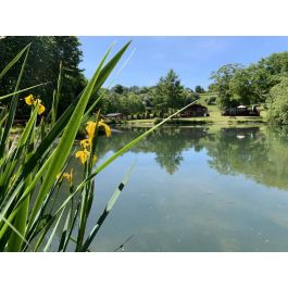 Valley View Holiday Park