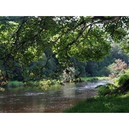 Doldowlod Caravan Park